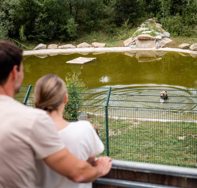 Bärenpark Bad Füssing besuchen | Bad Füssing